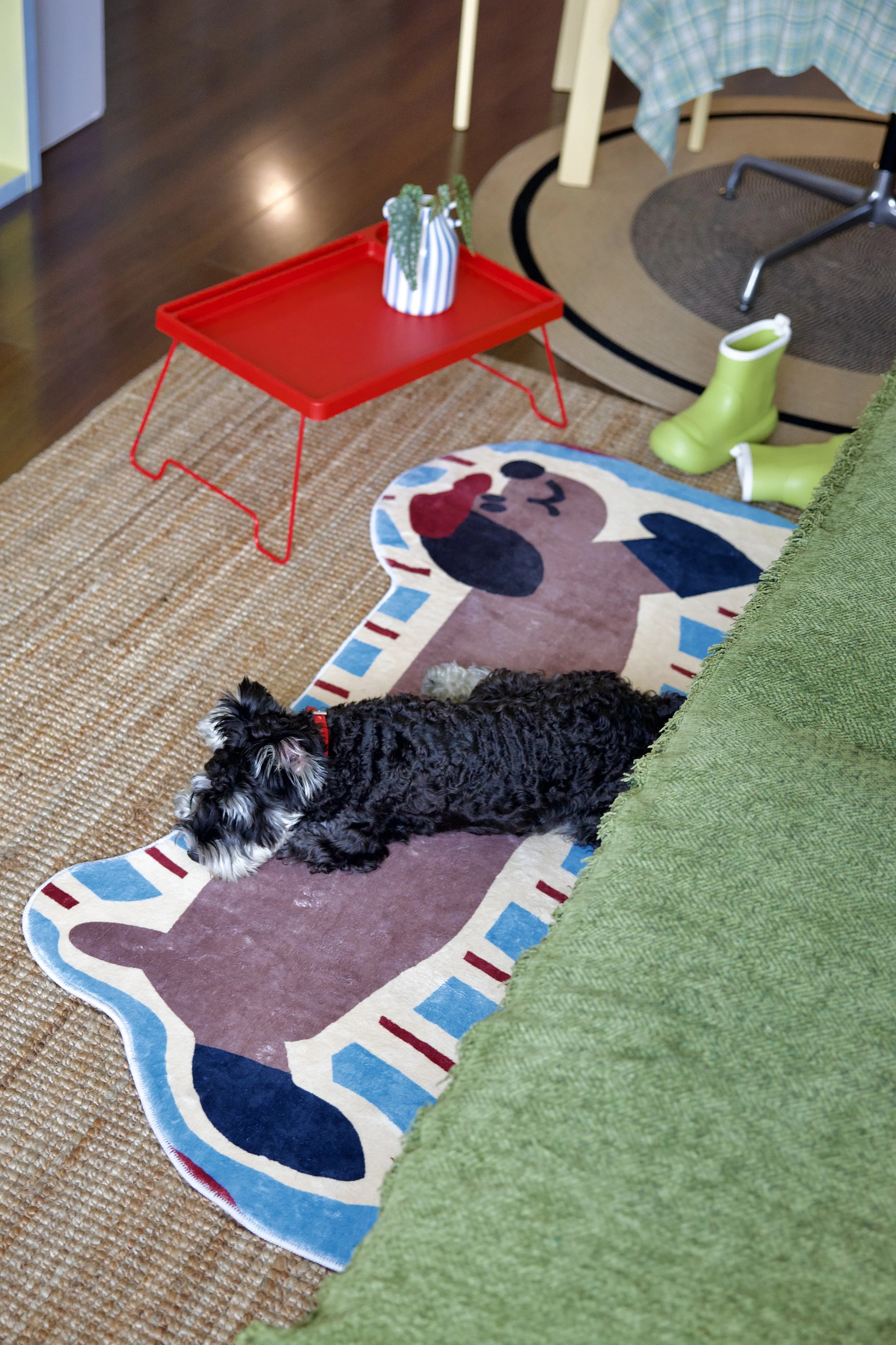 Can You Put a Rug on Carpet? Everything You Need to Know – Lany Space