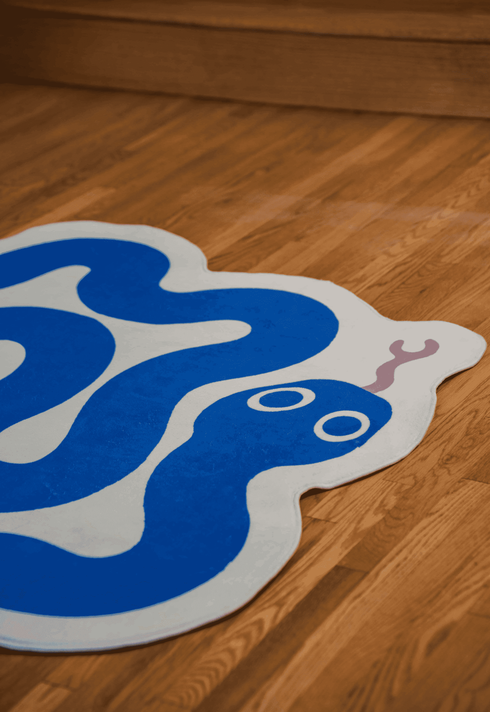 Shop LanySpace Spiral Snake Design Rug – Lany Space